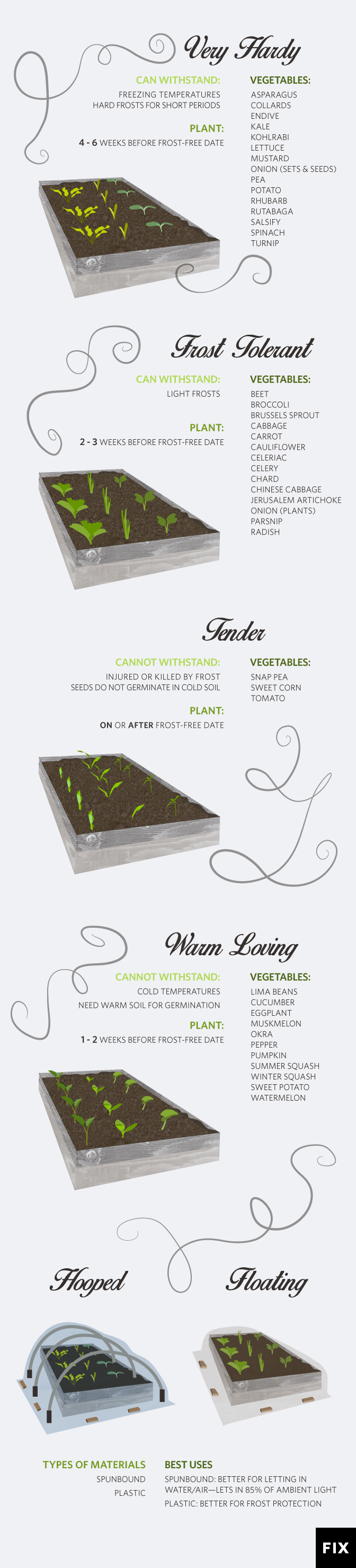 Plant Hardening: 9 Steps to Harden Off Seedlings | Fix.com