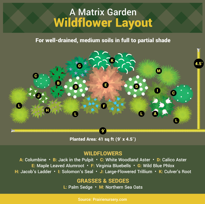 Guide to Matrix Planting | Fix.com