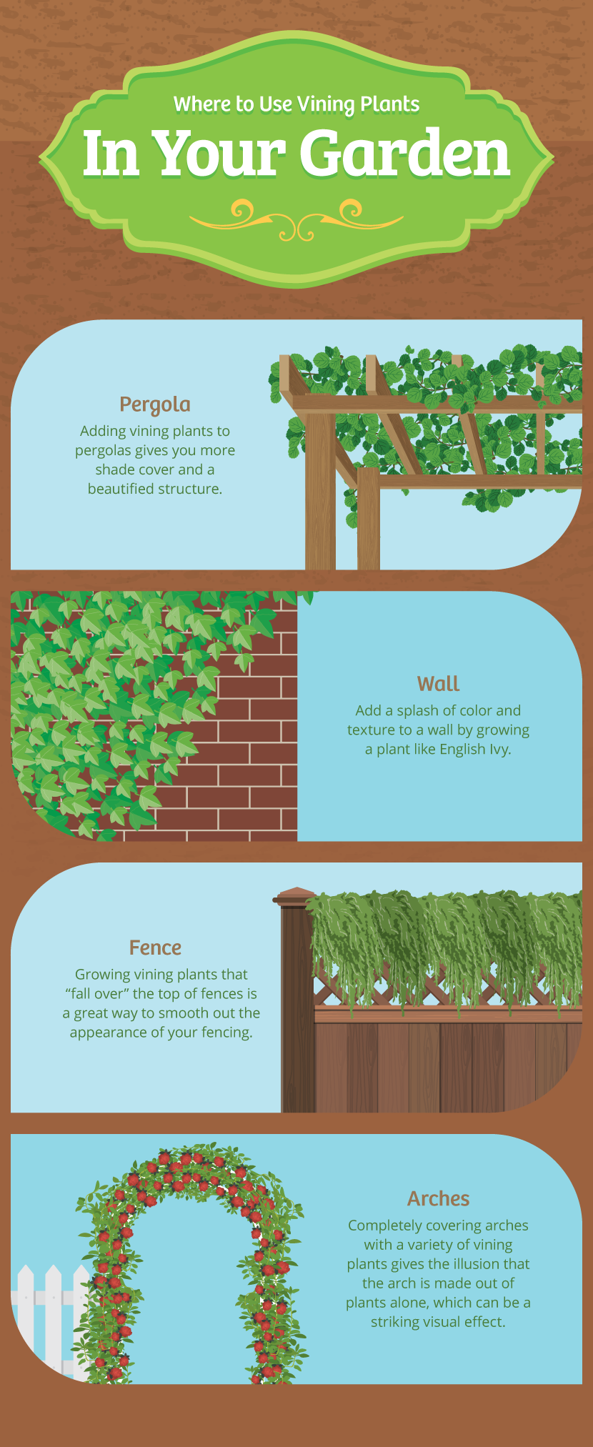 Growing Vines in Your Garden | Fix.com