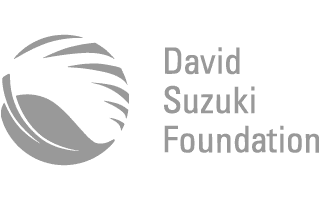 Master Proper Exercise Form | Fix.com